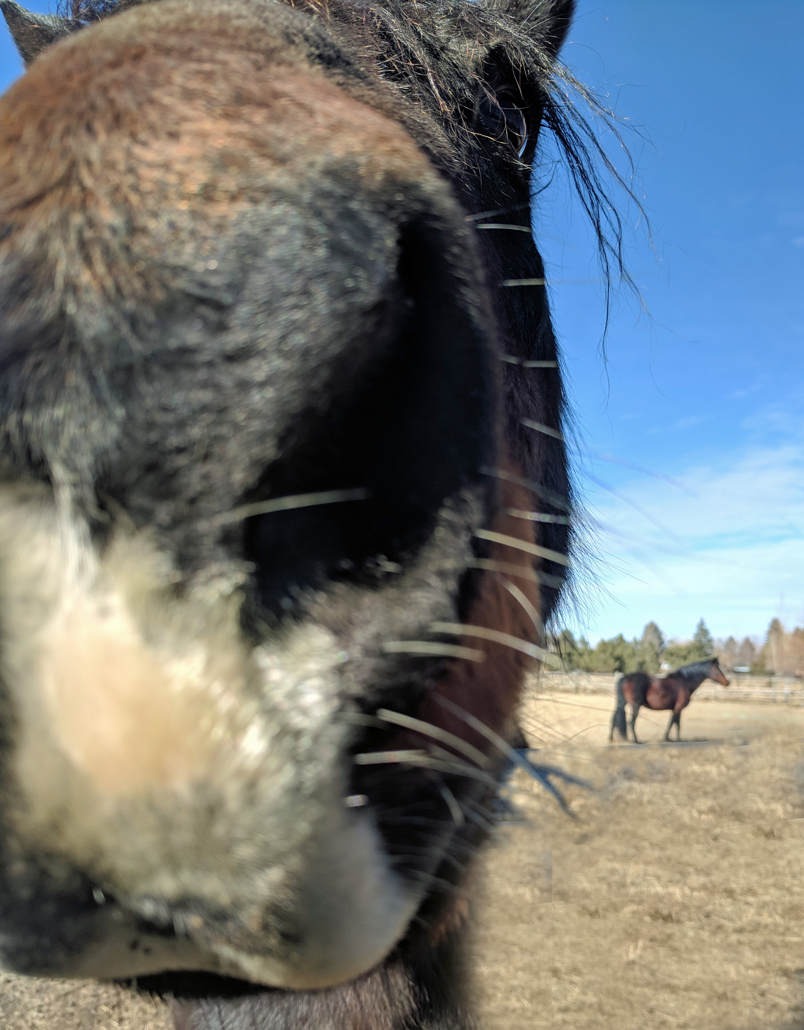 Special Moments – Diana's Morning Blog