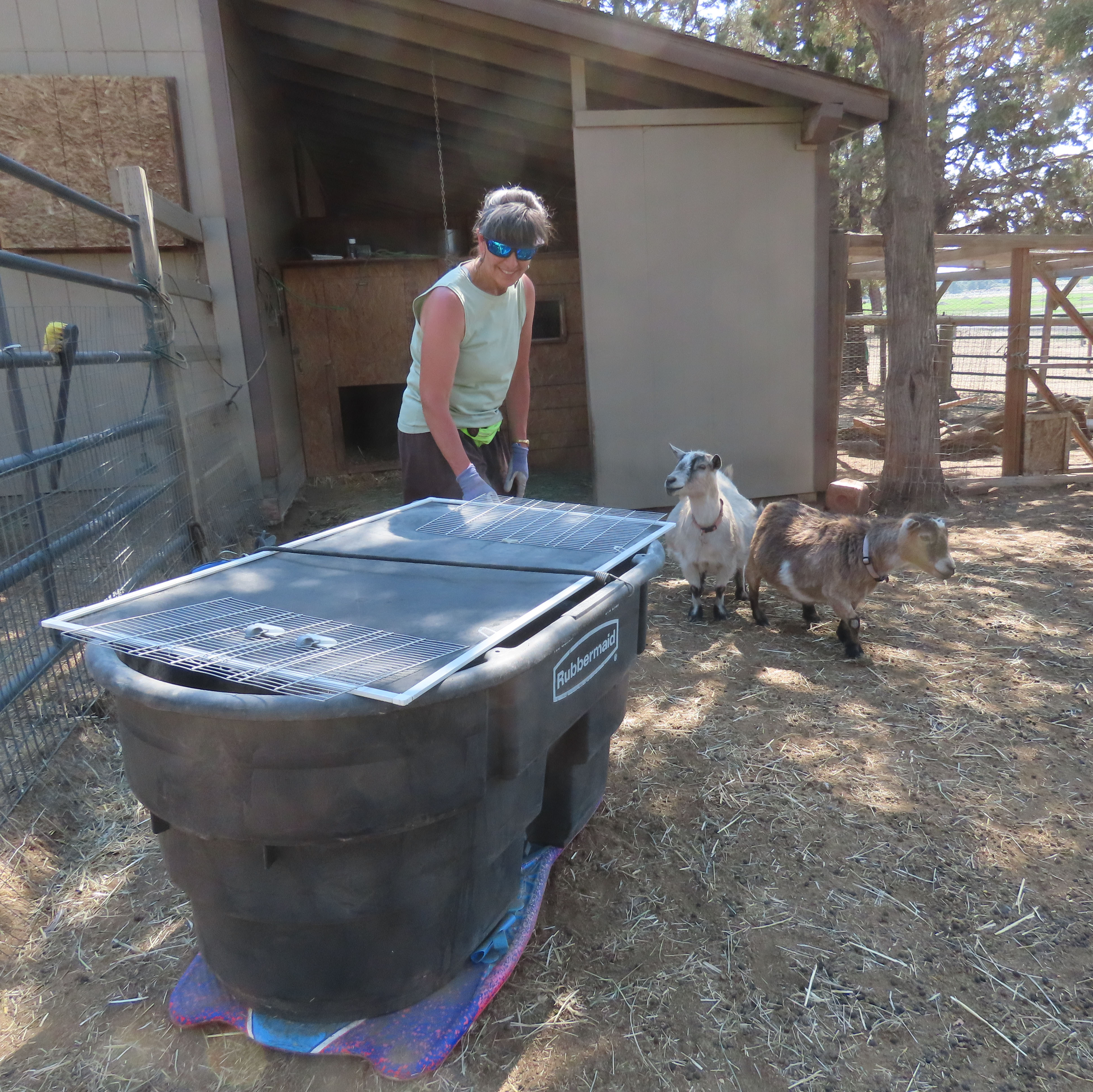 Moving Day – Diana's Morning Blog