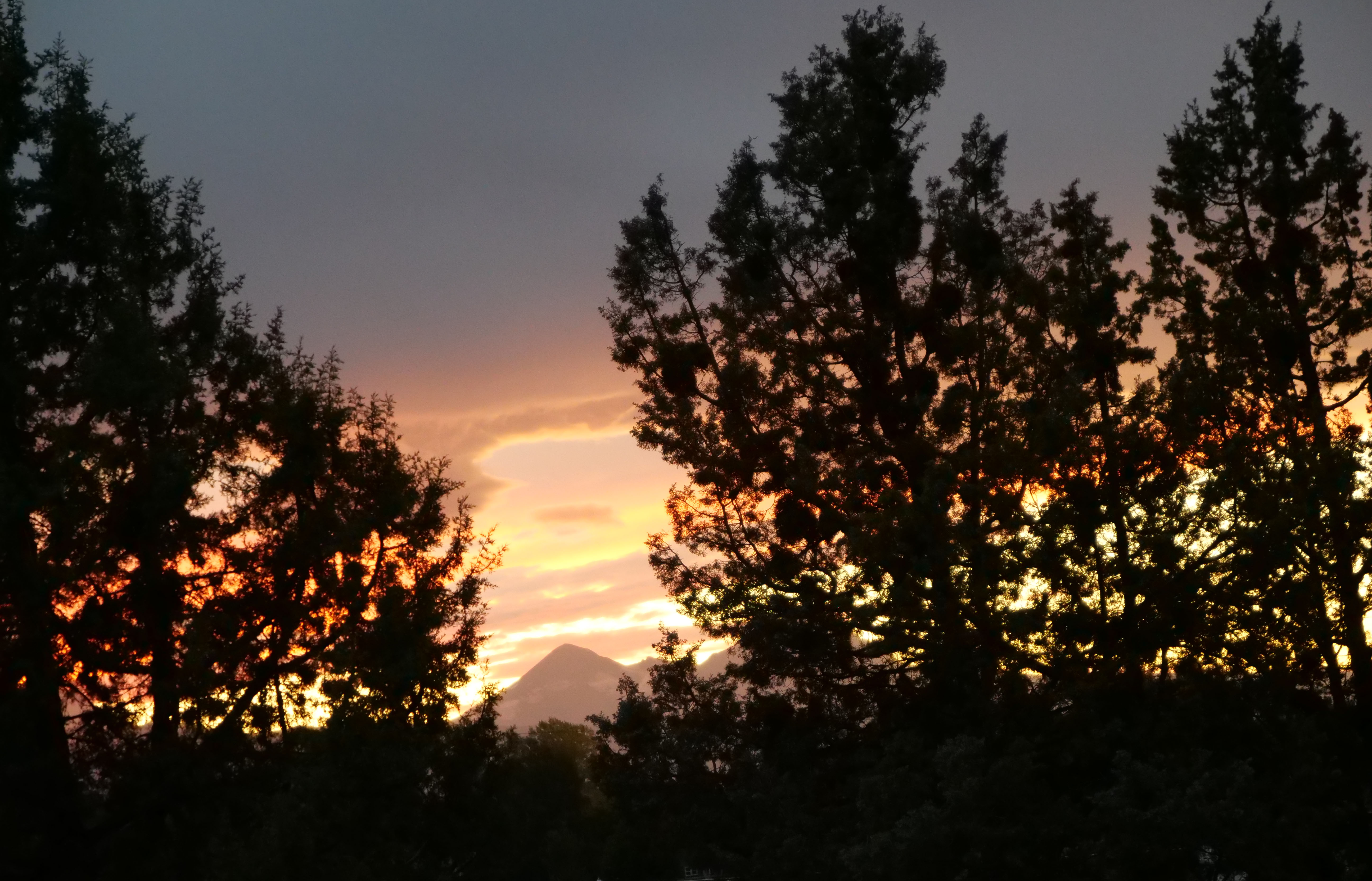 Skyward – Diana's Morning Blog