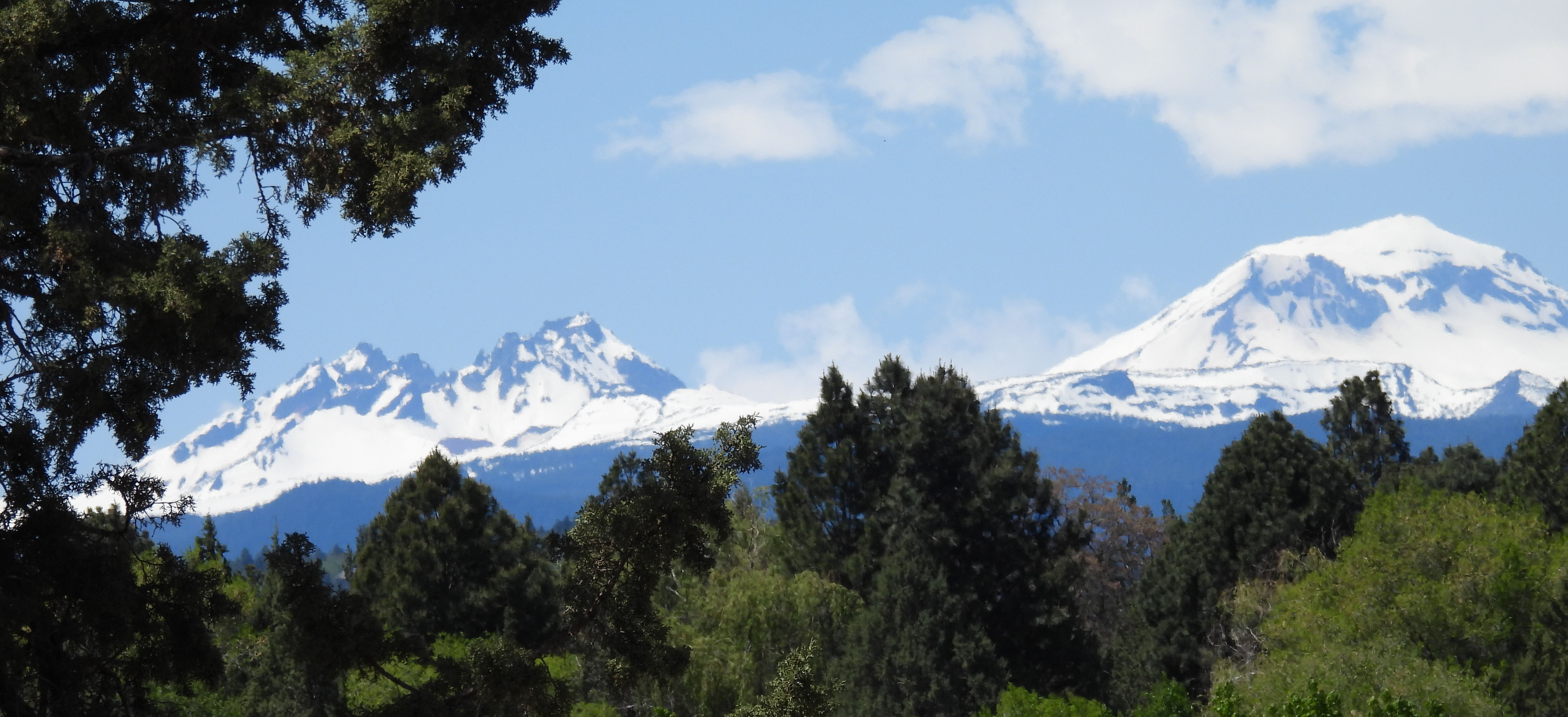 Wide Range – Diana's Morning Blog