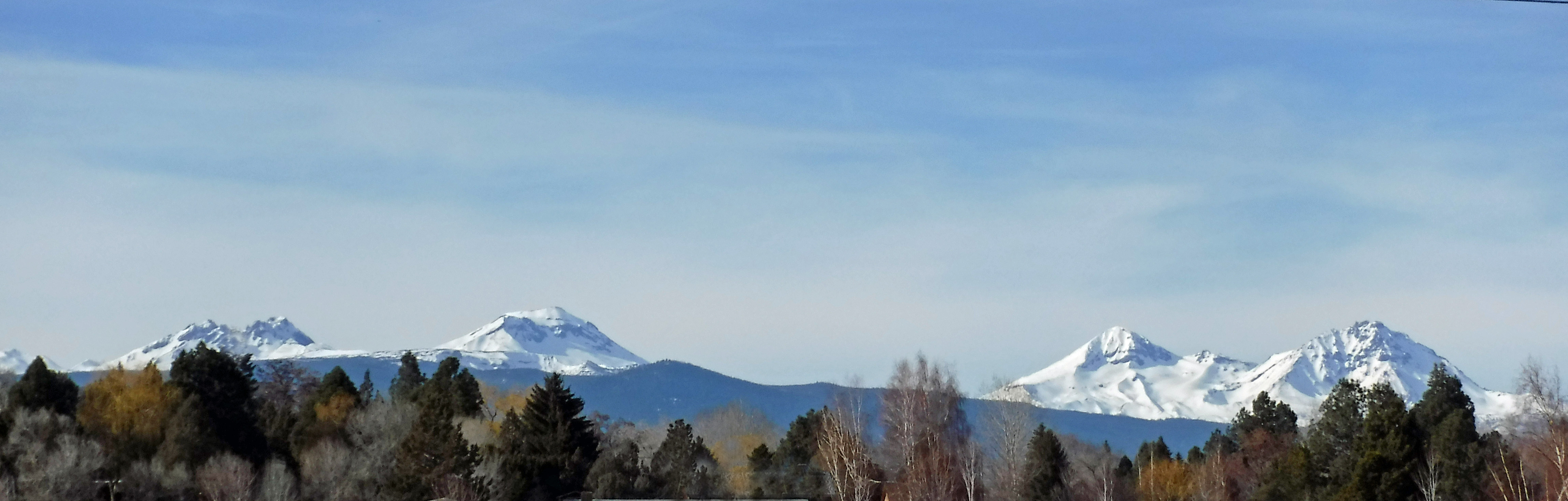 Planning – Diana's Morning Blog