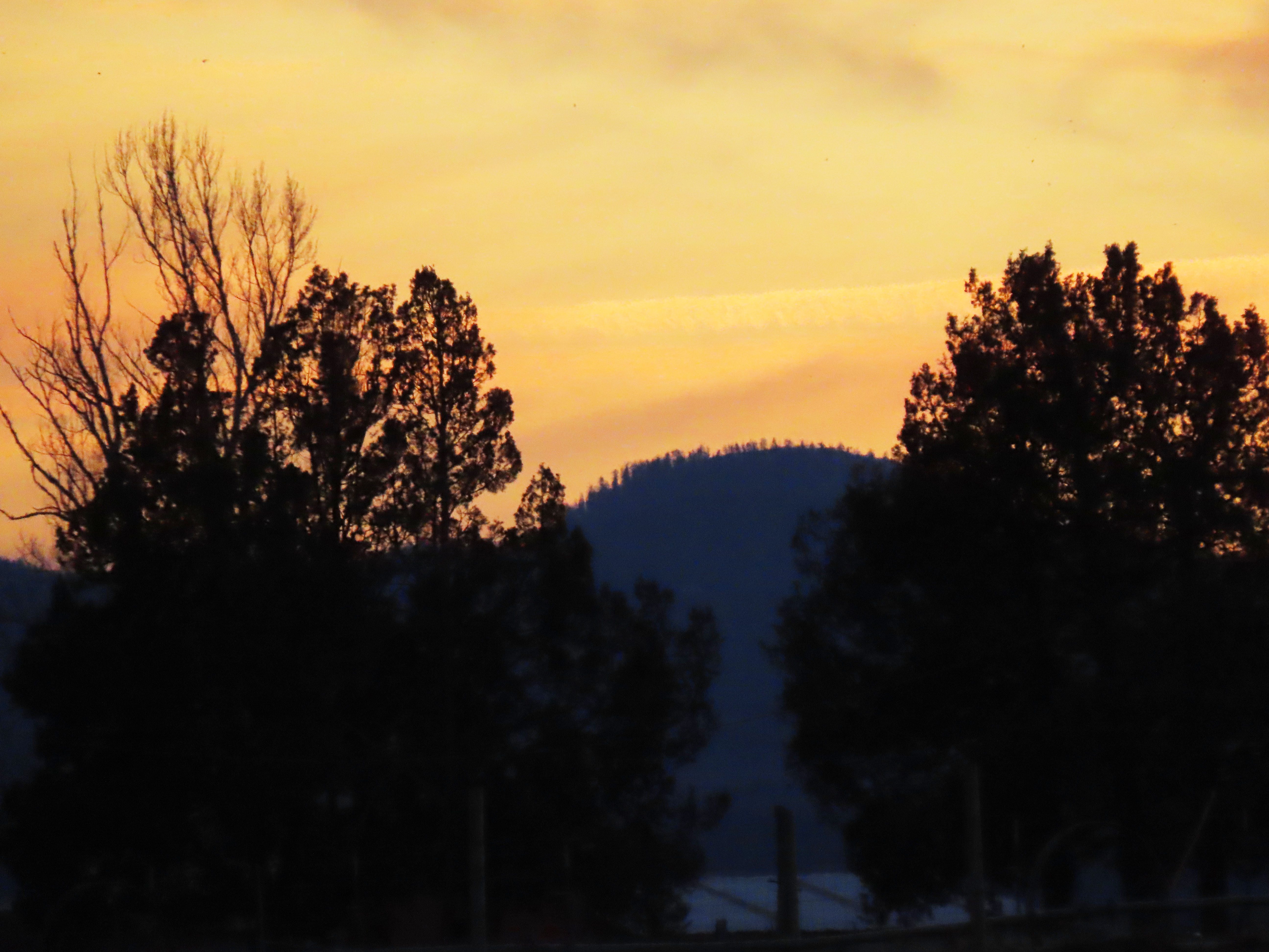 New Dawn – Diana's Morning Blog